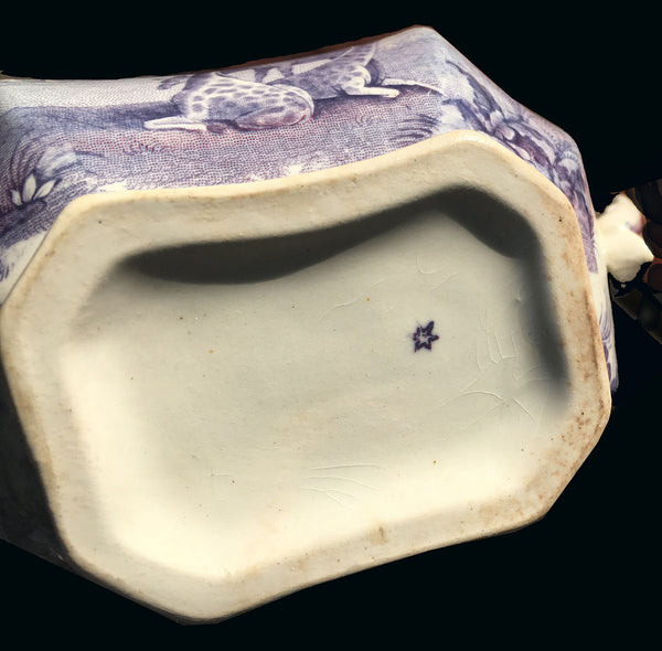 SOLD English Staffordshire Pottery Creamer by John Ridgway, "Giraffe ...